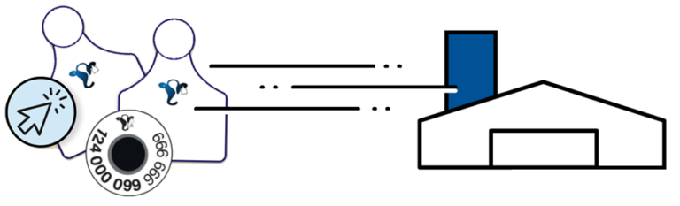 Order Tags – DairyTrace
